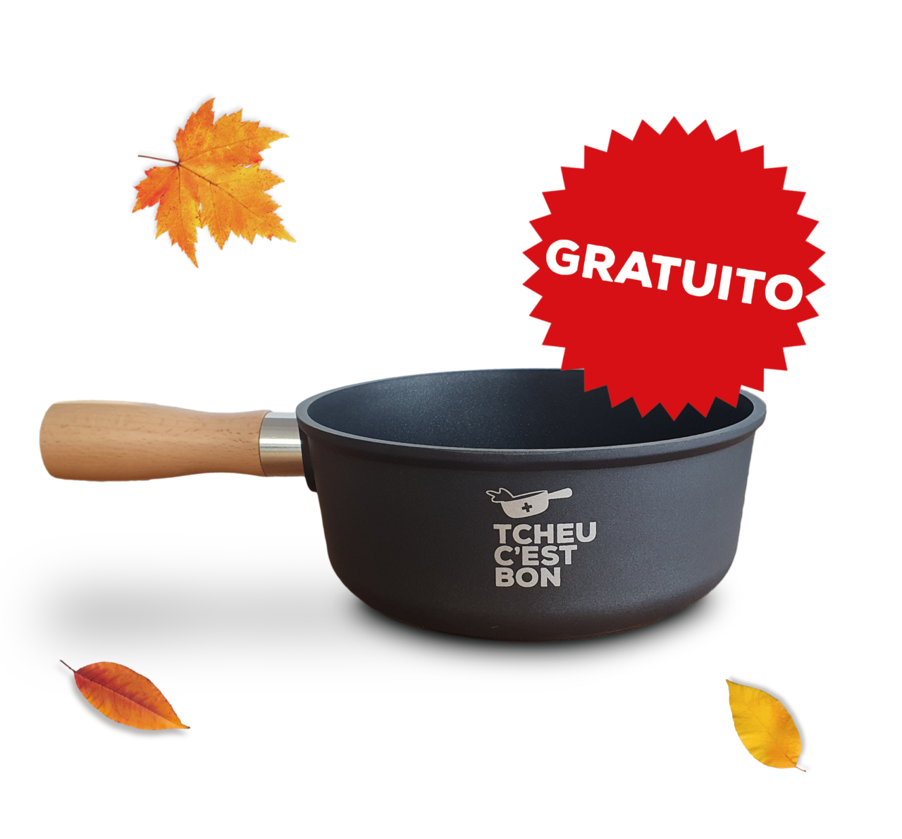 Ma Fondue - Les meilleures fondues de Suisse